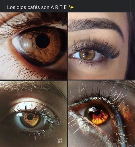 Can We Guess Your Eye Color Artofit