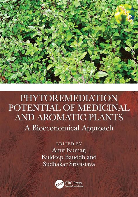 Phytoremediation Potential Of Medicinal And Aromatic Plants A Bioeconomical