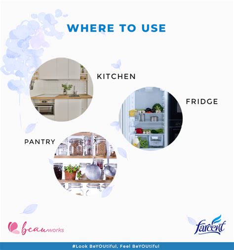 Farcent Refrigerator Deodorizer 150g Shopee Philippines