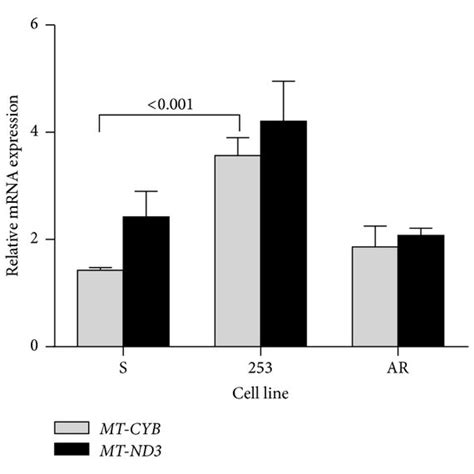 Basal Mrna Expression Of Mitochondrial Cytochrome B Mt Cyb And Nadh
