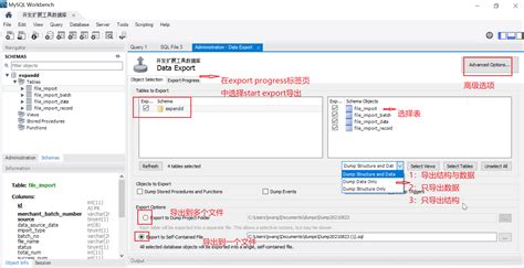 Mysql Workbench 导出建表语句 导出数据怎么导出建表语句 Csdn博客