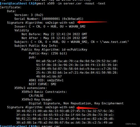 基于gmssl搭建nginx国密反向代理服务器nginx Gmssl Csdn博客