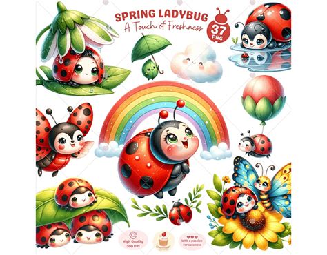 Kit Digital Joaninha