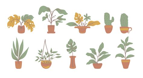 Indoor Potted House Plant Collection 27139491 Vector Art At Vecteezy