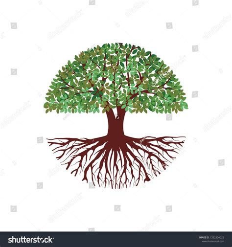 Tree Roots Vector Tree Round Shape vector de stock libre de regalías 1332304022