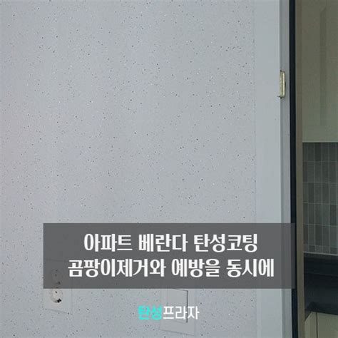 아파트 베란다 탄성코팅 곰팡이제거와 예방을 동시에 네이버 블로그