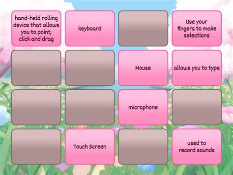 Input Devices Activity 2 Matching Pairs