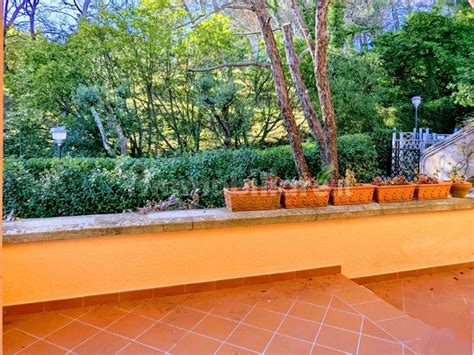 Affitto Appartamento Garlenda Trilocale In Via Bosco Di Carlo Buono