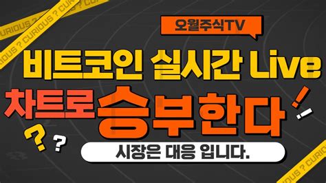 비트코인 실시간 방송 선물방송소통방송 차트분석종목분석기술적분석 Youtube