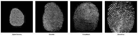 Enhancing Ensemble Learning Using Explainable Cnn For Spoof Fingerprints