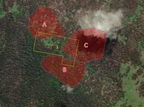 images included calculate area of overlap for every individual