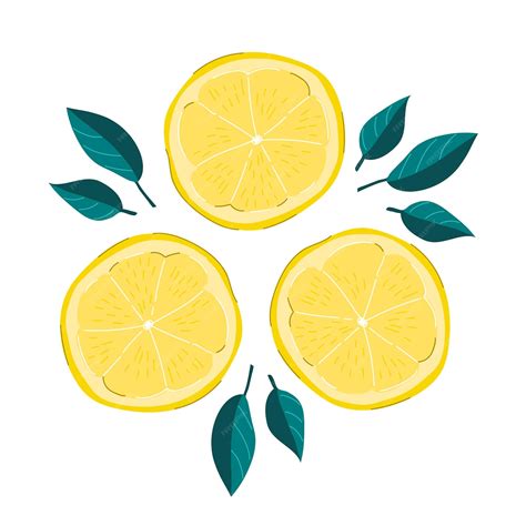 Premium Vector Lemon Slices Vector Illustration Isolated On White