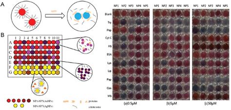 Left Illustrative Figures Of The Colorimetric Sensing Array Download Scientific Diagram