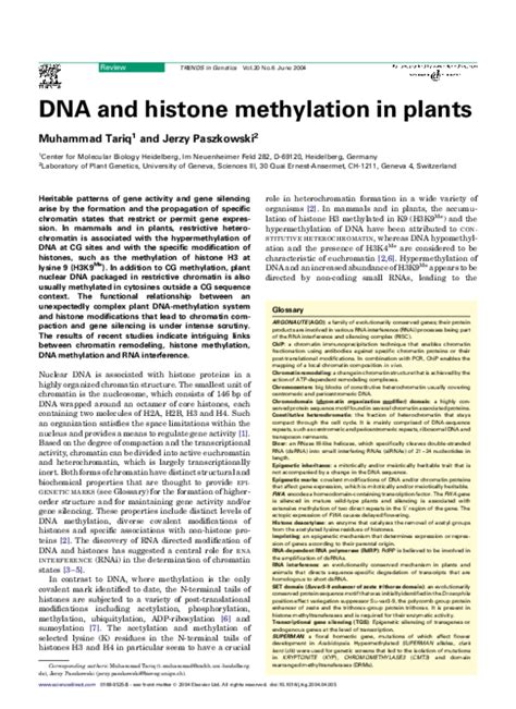 Pdf Dna And Histone Methylation In Plants