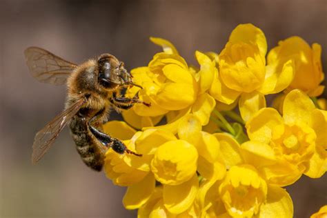 「buzy」の画像 215 件の Stock 写真、ベクターおよびビデオ Adobe Stock