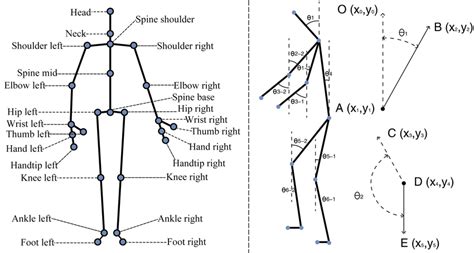 Summary Of 25 Skeletal Key Points And 12 Key Joint Angles Download