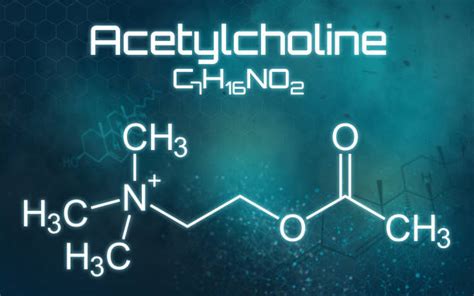 Acetylcholine Integrated Health Solution