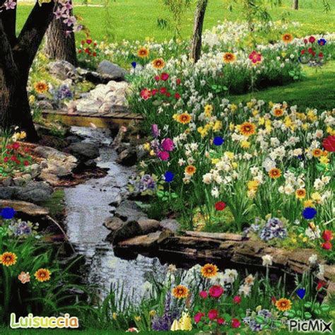Garden  Garden Discover And Share S