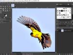 2 Quick Ways To Turn A Photo Into A Cartoon In GIMP