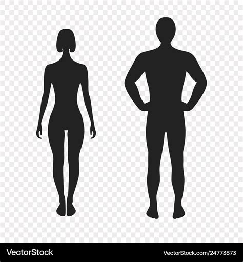 Person Silhouette Vector