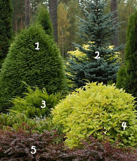 Примеры ландшафтных садов Florius Садовая лестница Ландшафтный дизайн заднего двора Идеи