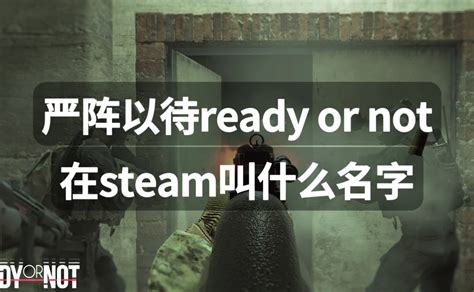 Ready Or Not Steam