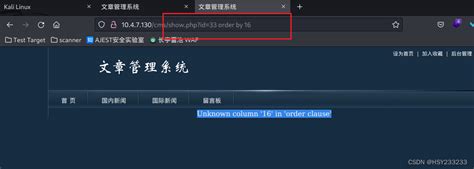 Web漏洞攻击的流量特征 web漏洞流量特征 CSDN博客