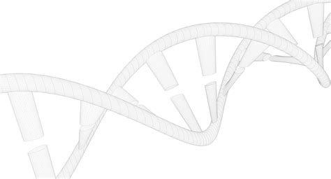 DNA 이중나선 3D 모델 50 c4d Free3D