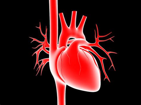 Consejos para cuidar la salud del corazón