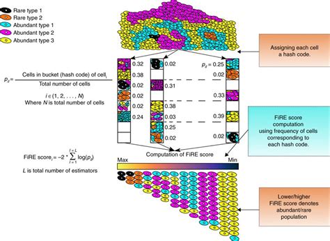 FiRE Finder Of Rare Entities A Fast And Efficient Method To Find