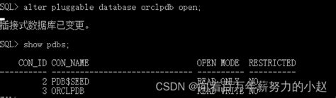 oracle容器数据库的安装和使用 csdn博客
