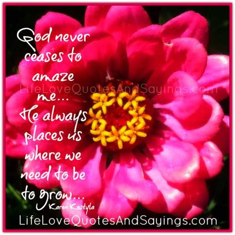 Never Cease To Amaze Me Quotes Quotesgram