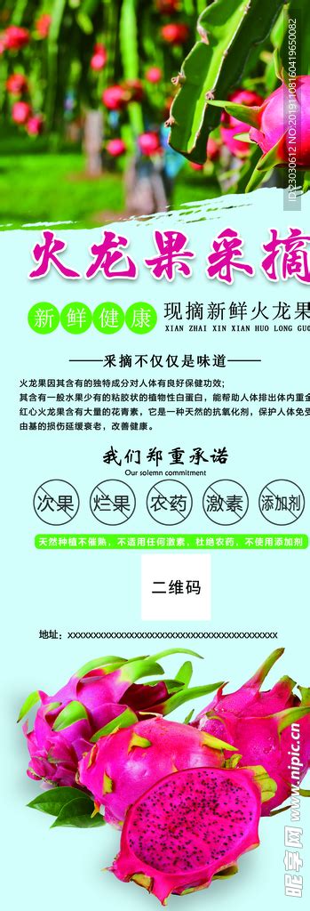 火龙果设计图海报设计广告设计设计图库昵图网