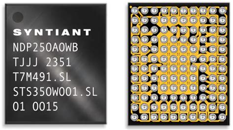 Neural Decision Chip
