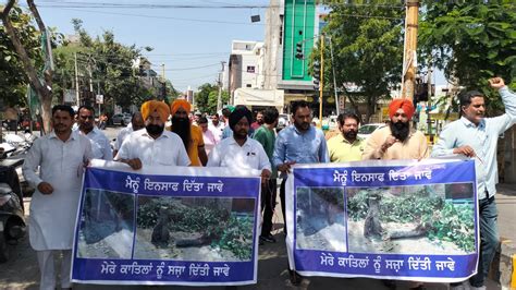 ਪੱਟੇ ਗਏ ਬੋਹੜ ਦੇ ਕਾਤਲਾਂ ਨੂੰ ਸਜ਼ਾ ਦਿਵਾਉਣ ਦੇ ਲਈ ਕੱਢਿਆ ਰੋਸ ਮਾਰਚ Youtube