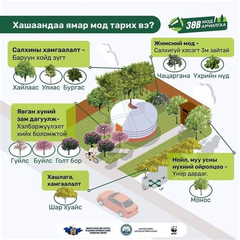 МОДНЫ ЗАХИАЛГА АВНА Хашаандаа мод тарих иргэдээс модны захиалга авч байна Засаг даргын Тамгын
