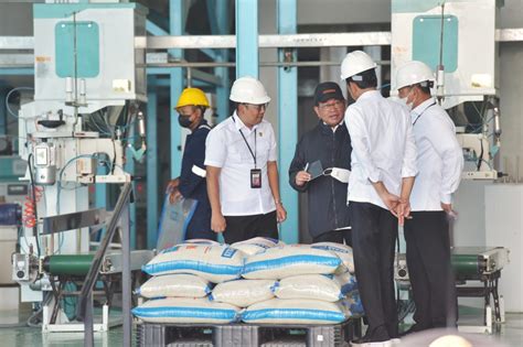 Masuki Panen Raya Presiden Minta Bulog Serap Gabah Petani Sebanyaknya