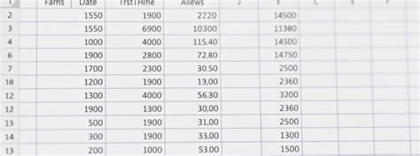 Ibm Excel Data Fundamentals 1