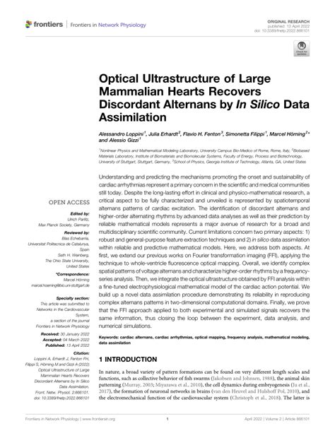 Pdf Optical Ultrastructure Of Large Mammalian Hearts Recovers