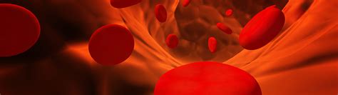 Iron Infusions Sutherland Shire Ek Medical