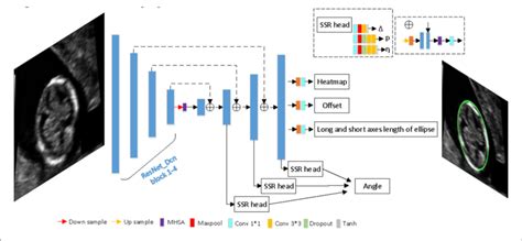 The Architecture Of Proposed Network Download Scientific Diagram
