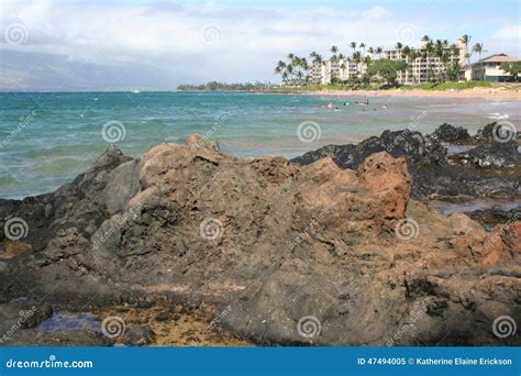 Beach Rocks Stock Image Image Of Looking Ocean Environment 47494005