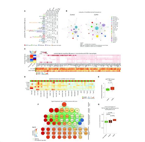 Cellphonedb Plot