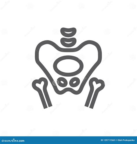 Pelvis Skeleton Line Icon Vector Signs For Web Graphics Stock Vector