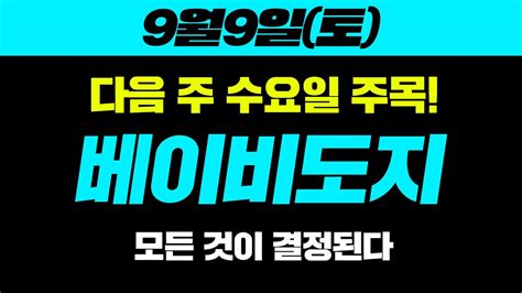 9월9일토 다음 주 수요일 주목 베이비도지모든 것이 결정된다 베이비도지코인호재 베이비도지코인급등 베이비도지코인시세