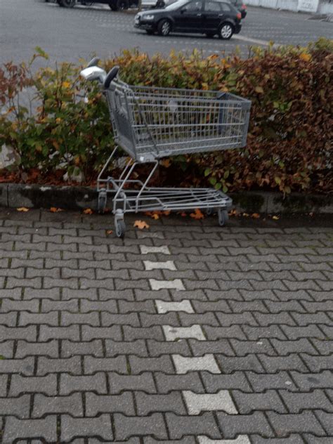 Gittertier Hat Sich Beim Driften In Der Hecke Verfangen Rgittertiere