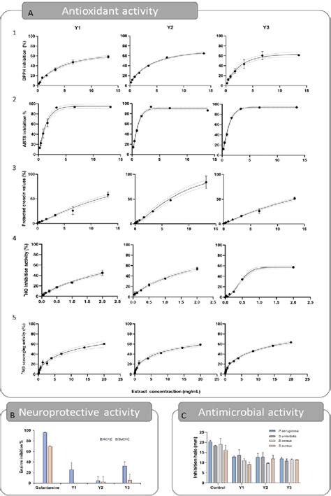representation of experimental data obtained for responses y1 y2 and