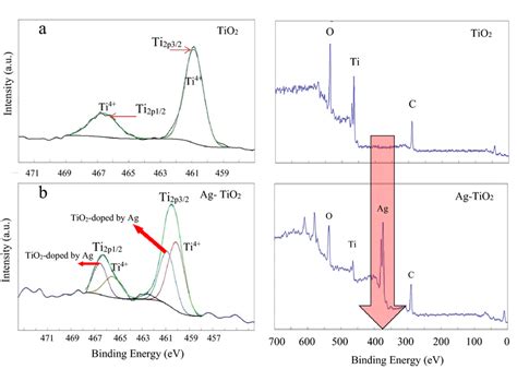 XPS Images Of Ti P And Survey Related To TiO NSs And TiO NSs Doped Download Scientific