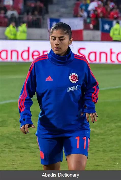 انجی کاستاندا معنی در دیکشنری آبادیس