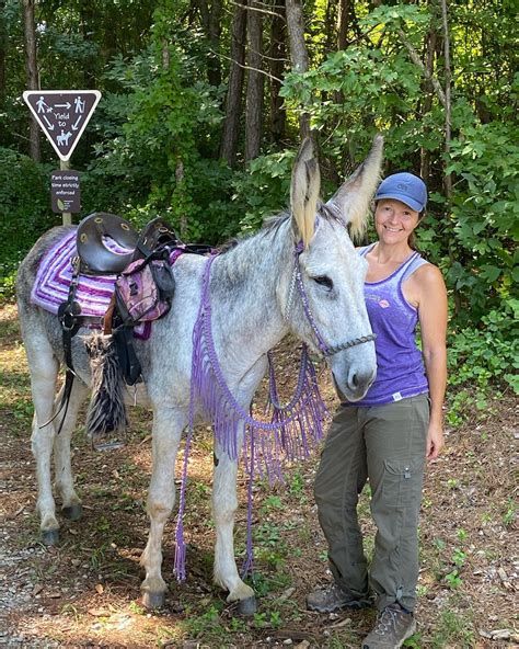 Riding Donkey Training